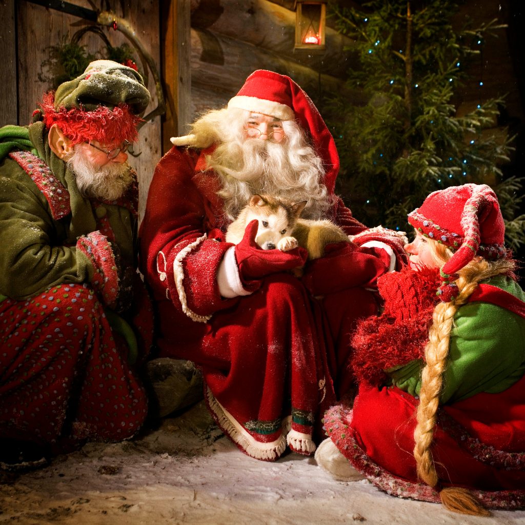 About Us - SantaPark Arctic World