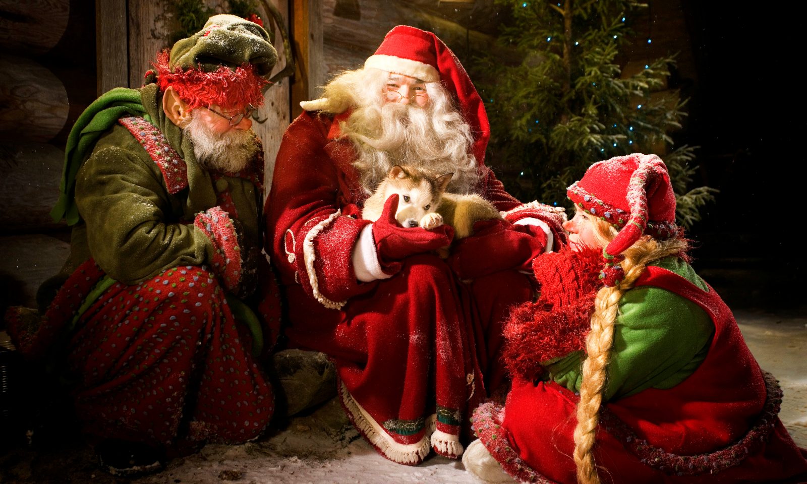 About Us - SantaPark Arctic World